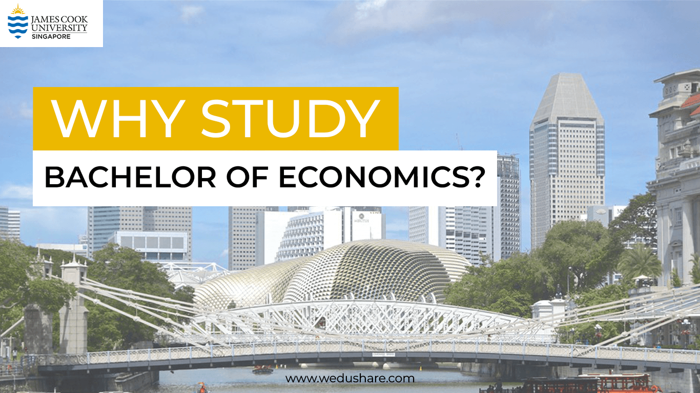 Why Students Should Study Bachelor of Economics? | WEduShare
